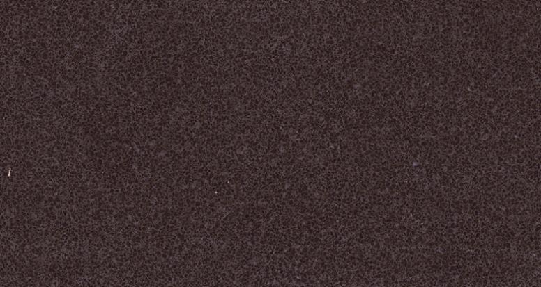 Caesarstone Espresso